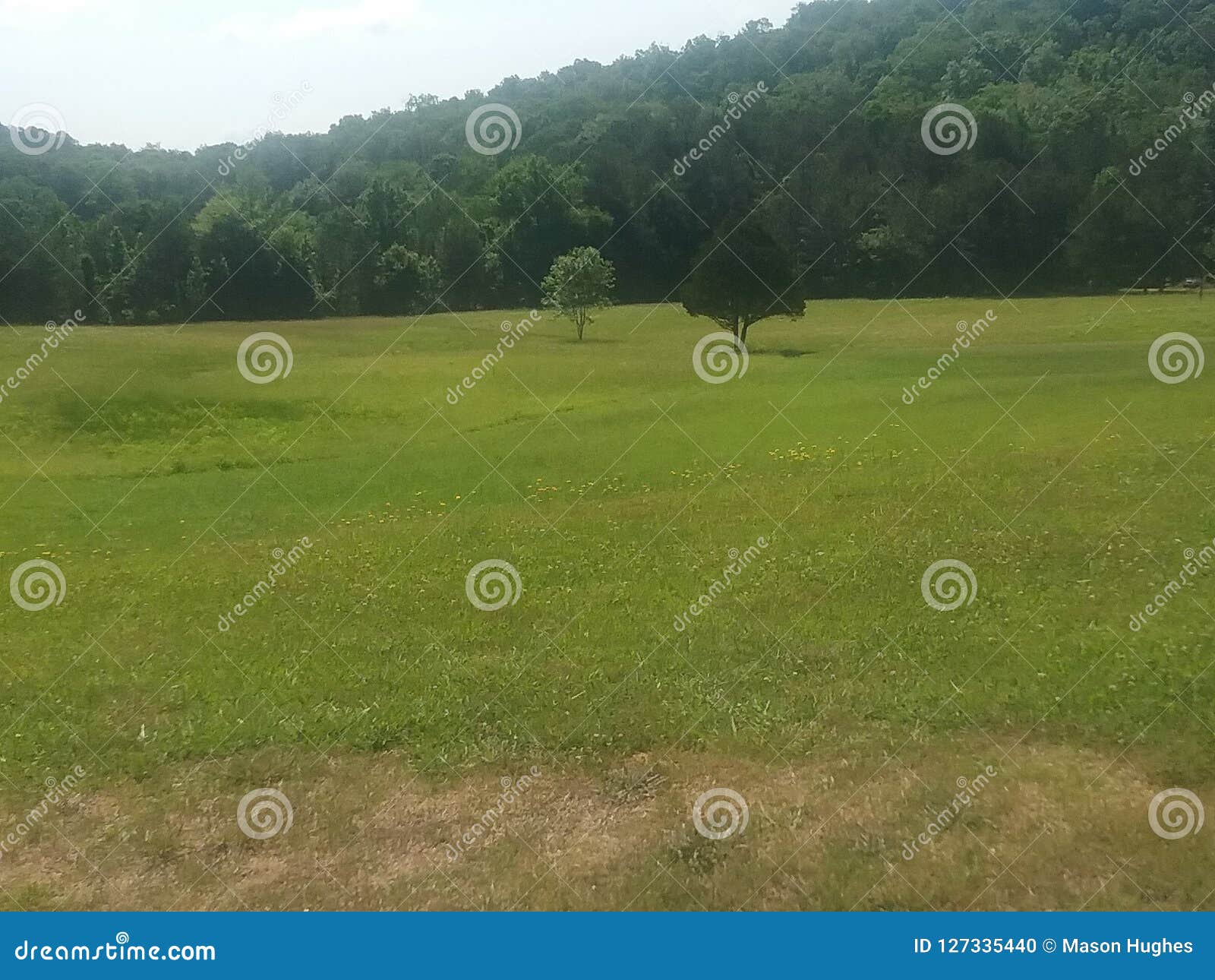 Field stock photo. Image of field, nice, countryside - 127335440