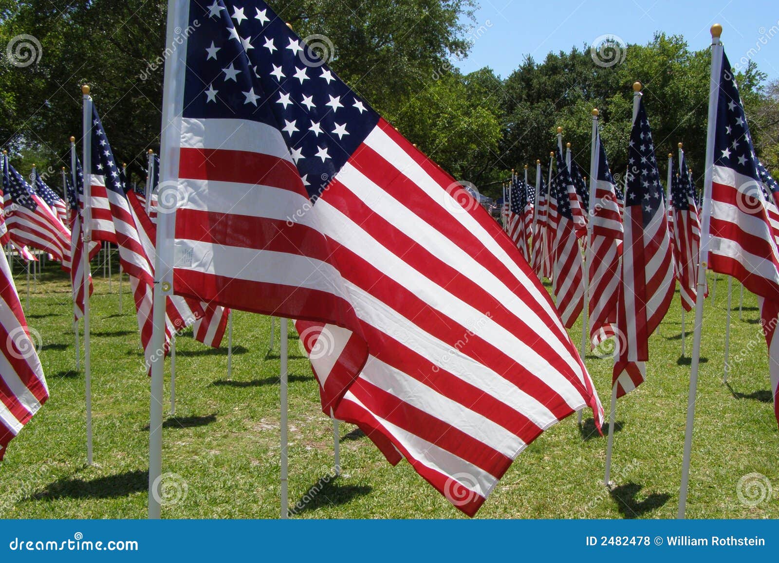 FIELD of AMERICAN FLAGS stock photo. Image of american - 2482478