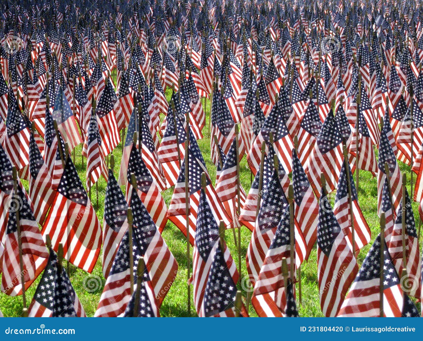Field of American Flags stock photo. Image of infinity - 231804420