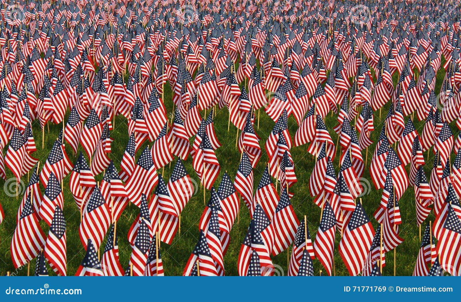Field of American Flags stock image. Image of boston - 71771769