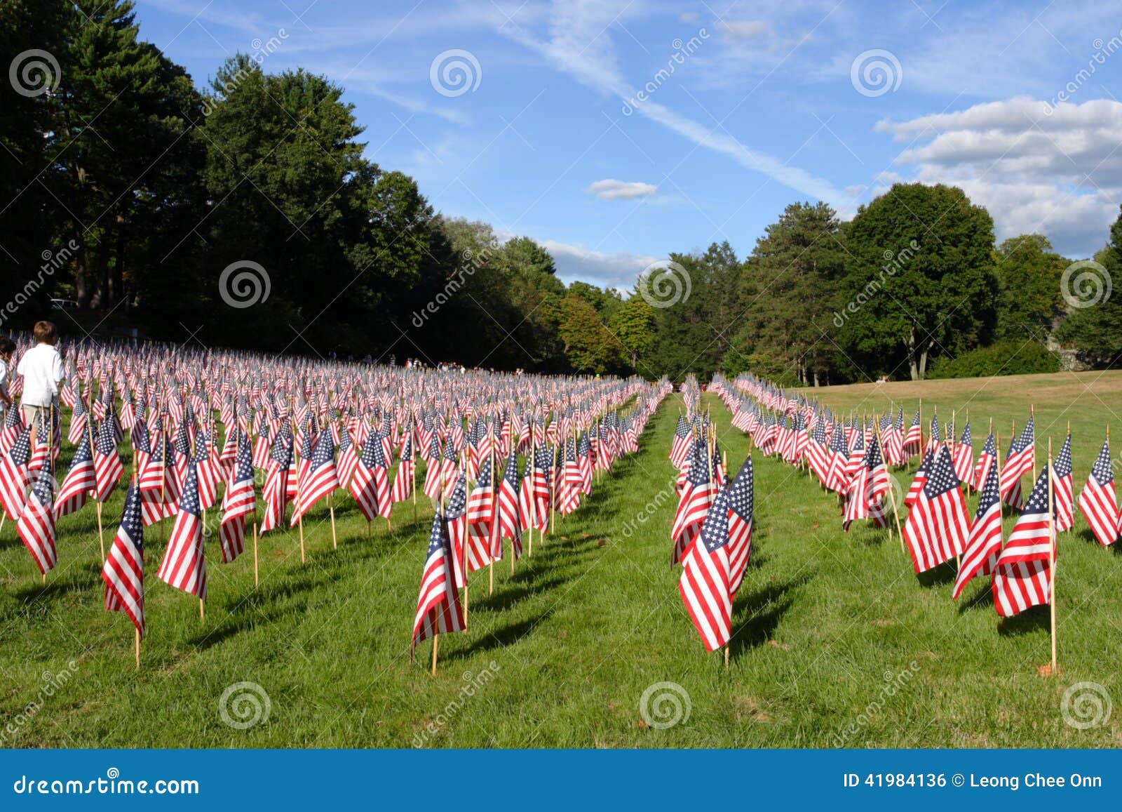 Field of American Flags stock photo. Image of soldier - 41984136