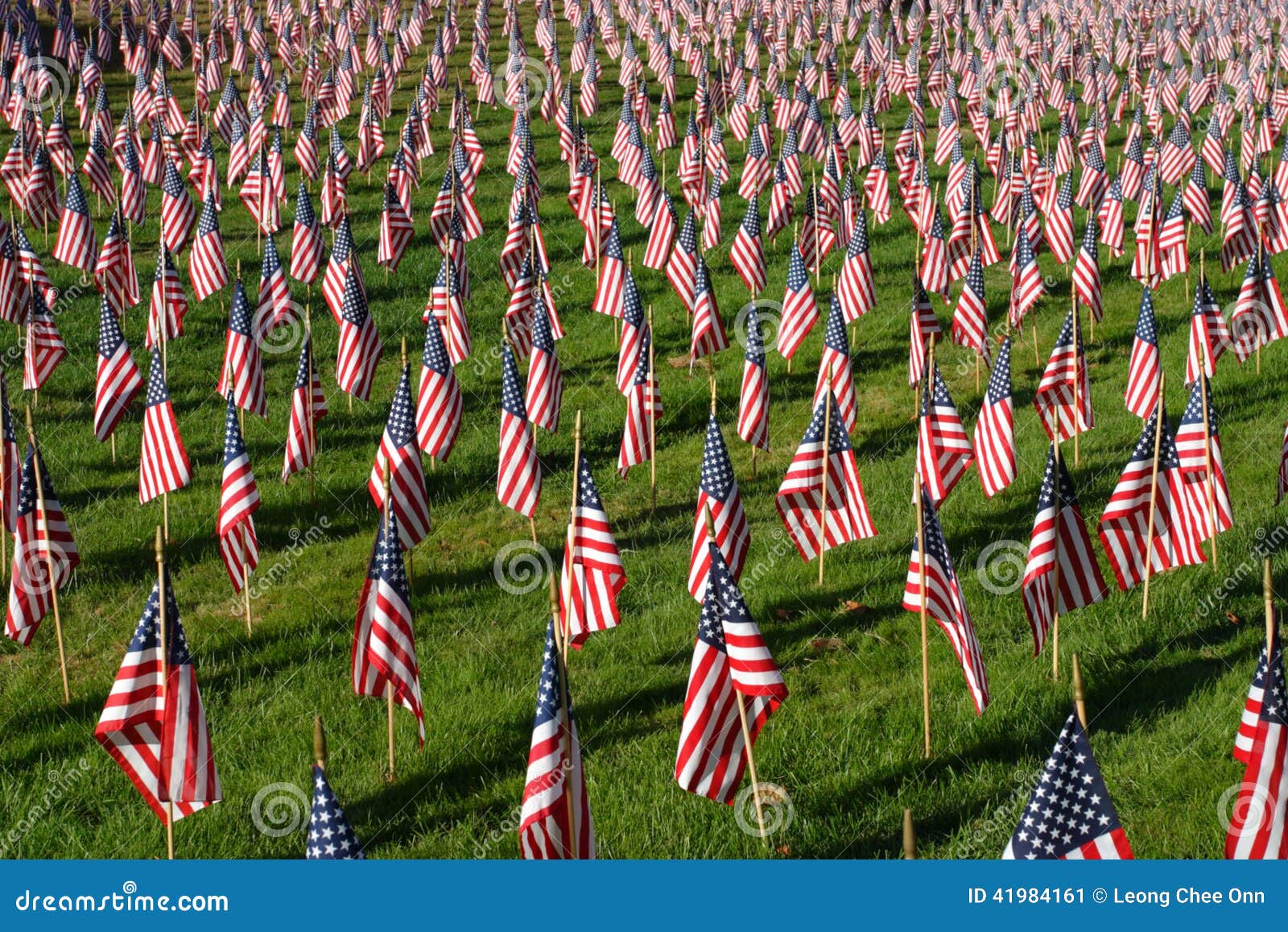Field of American Flags stock image. Image of armed, forces - 41984161