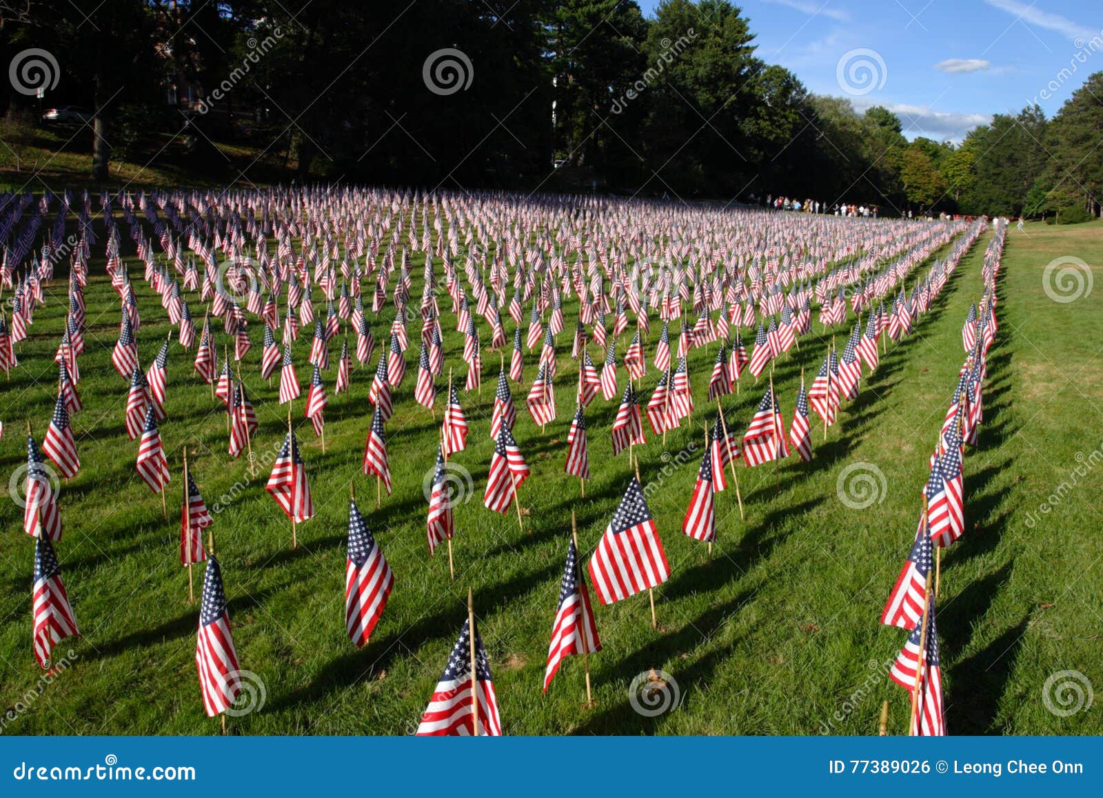 Field of American Flags during US Independence Day Stock Photo - Image ...