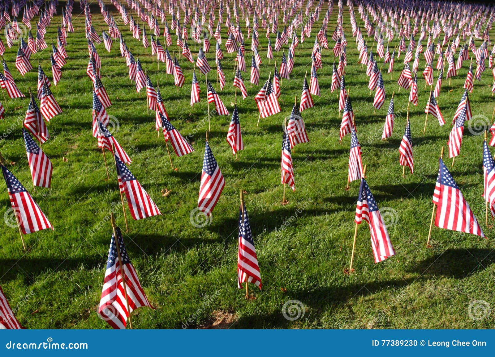 Field of American Flags during US Independence Day Stock Photo - Image ...