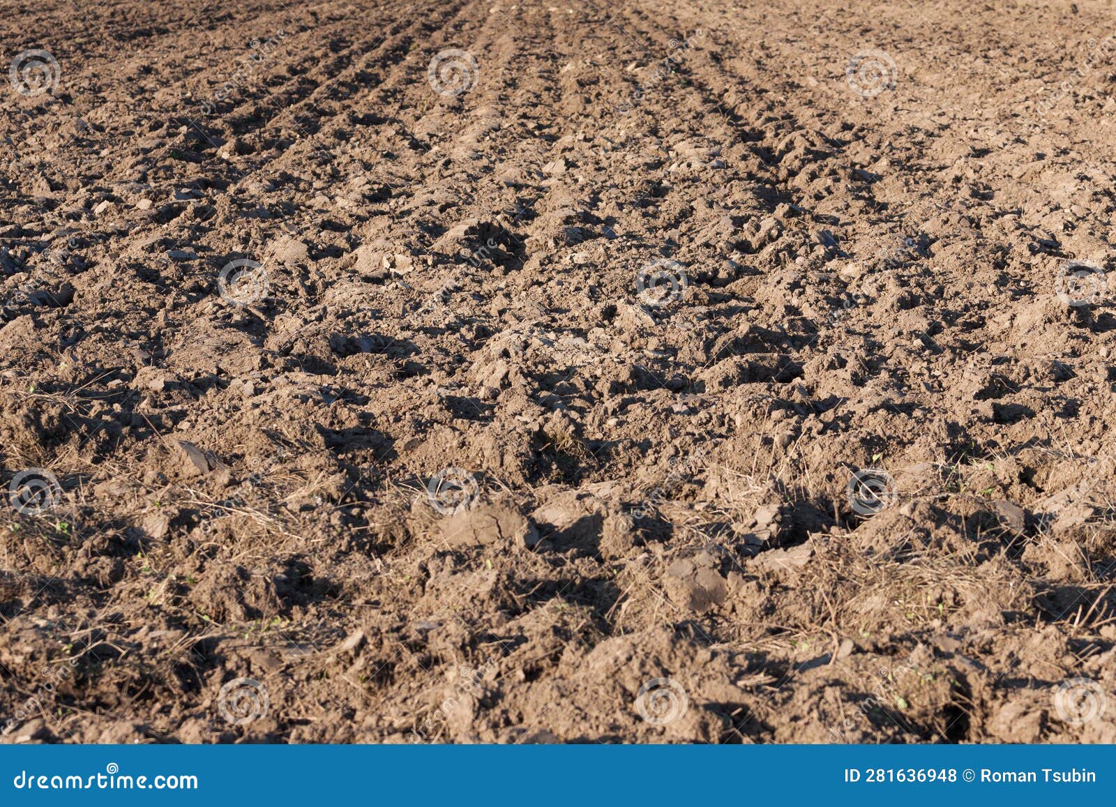 Field arable stock photo. Image of crop, agri, rural - 281636948