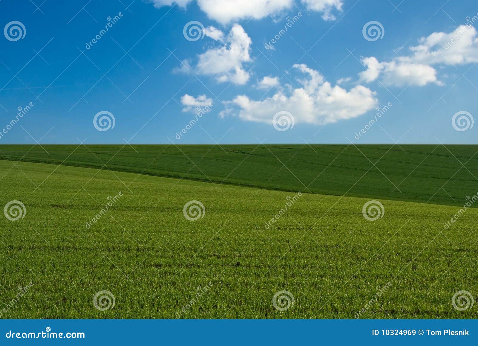 Field background stock image. Image of meadow, horizon - 10324969
