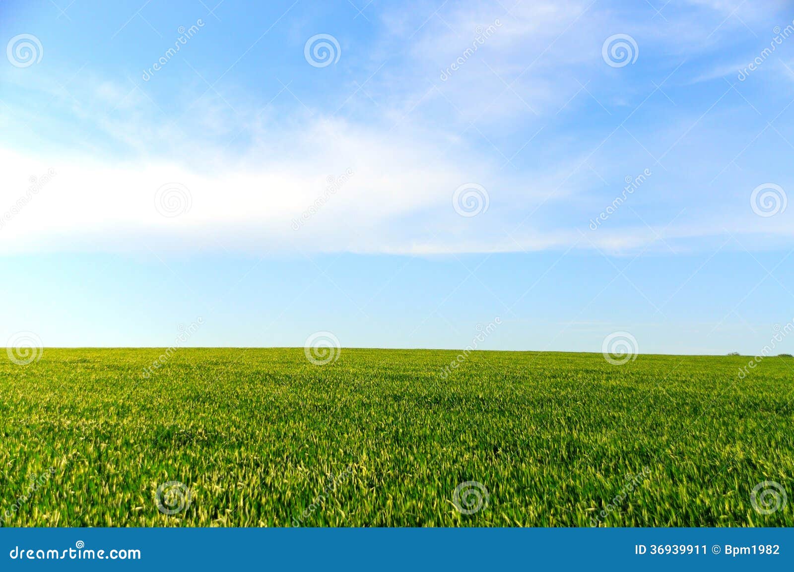 Field on a Background of the Blue Sky Stock Image - Image of panoramic ...