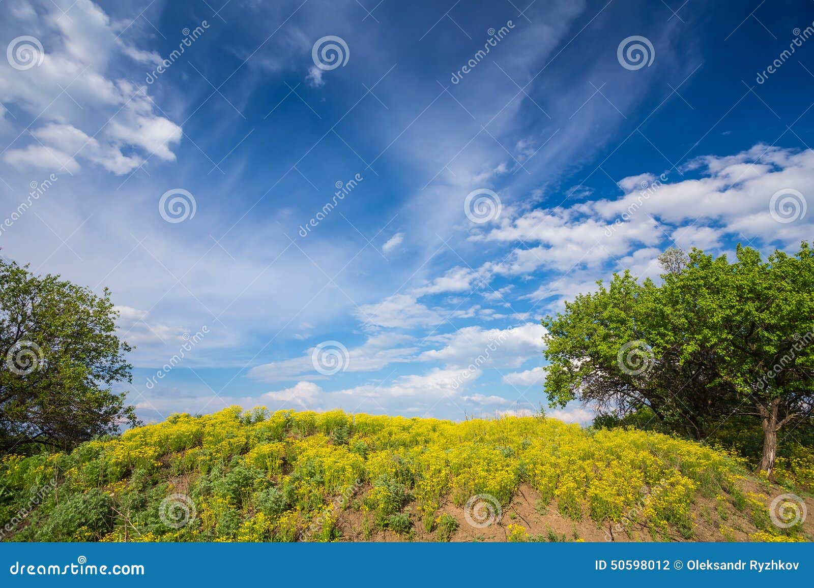 Field on a Background of the Sky Stock Photo - Image of beauty, plain ...