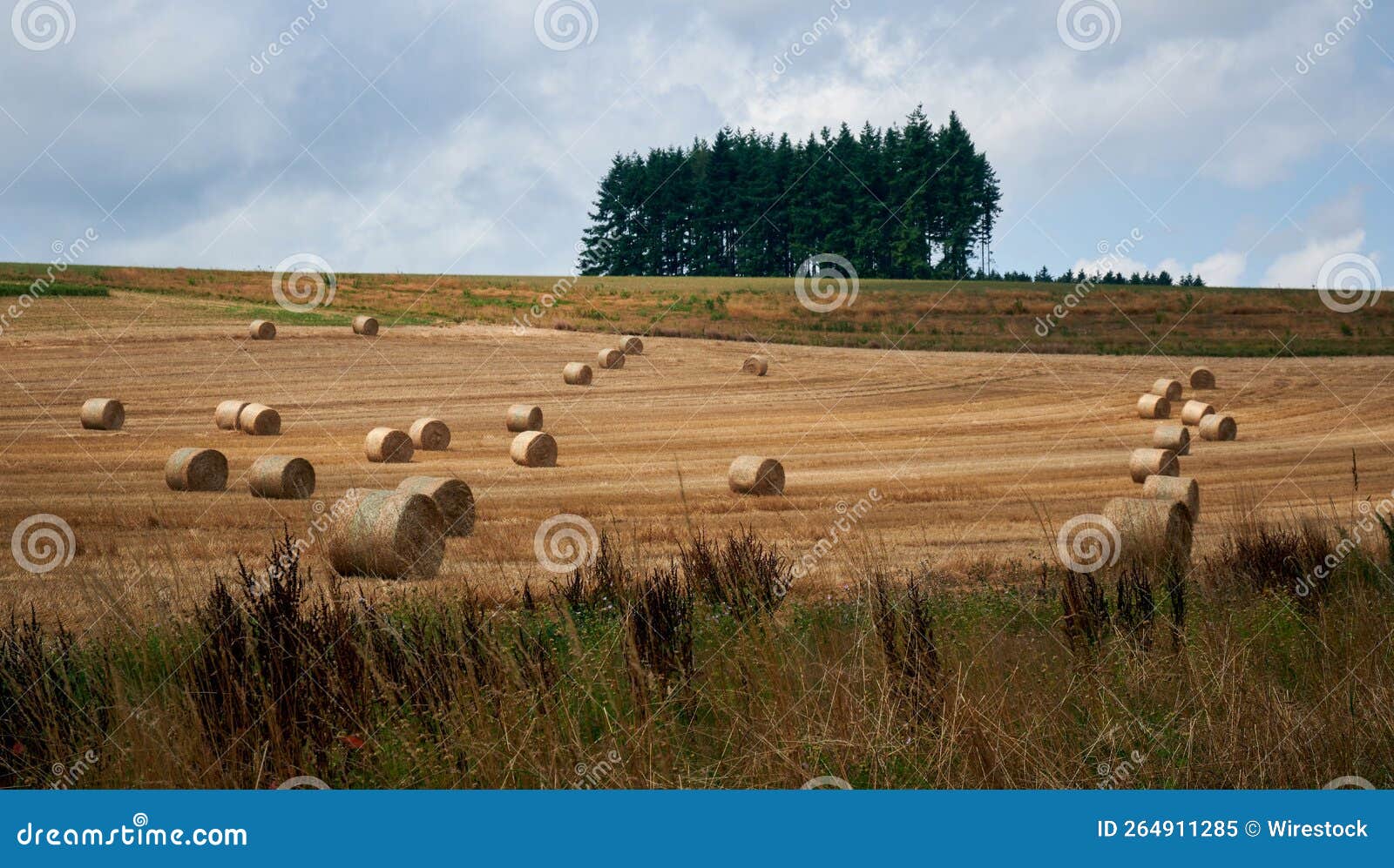Field with Bales of Hay in the Countryside in Belgium Stock Image ...