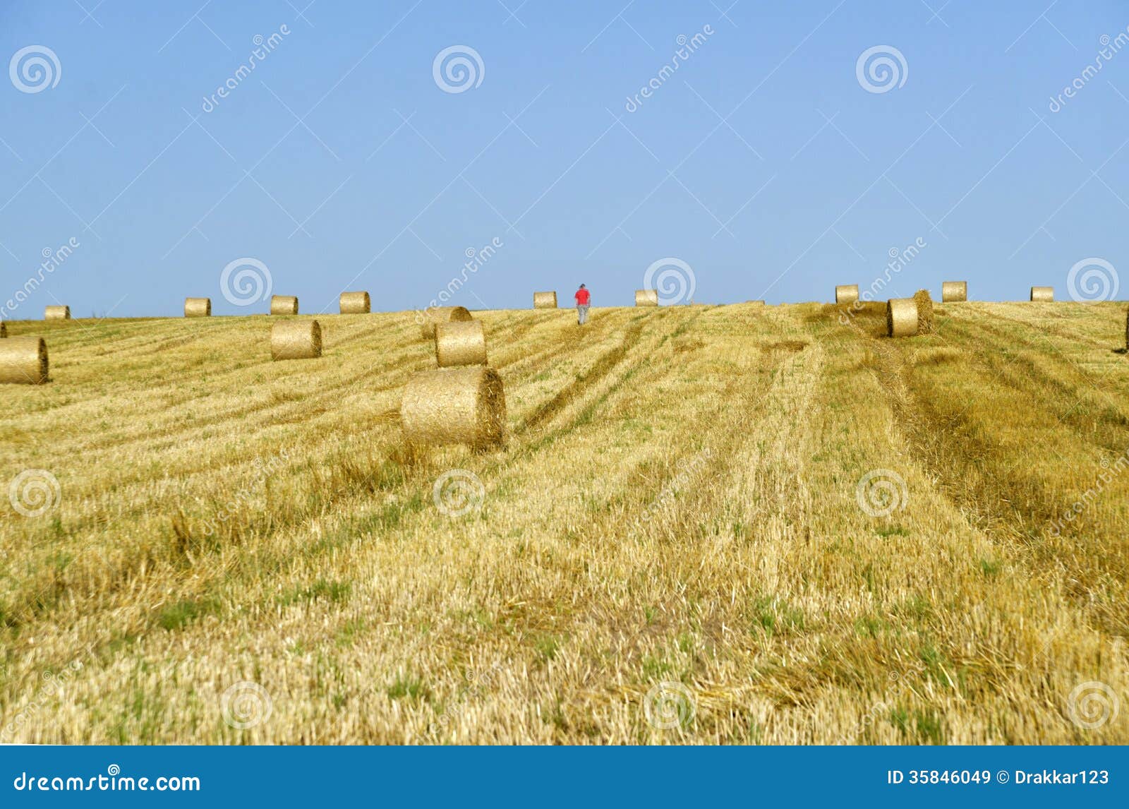 Field with bales of hay stock image. Image of wheat, alone - 35846049