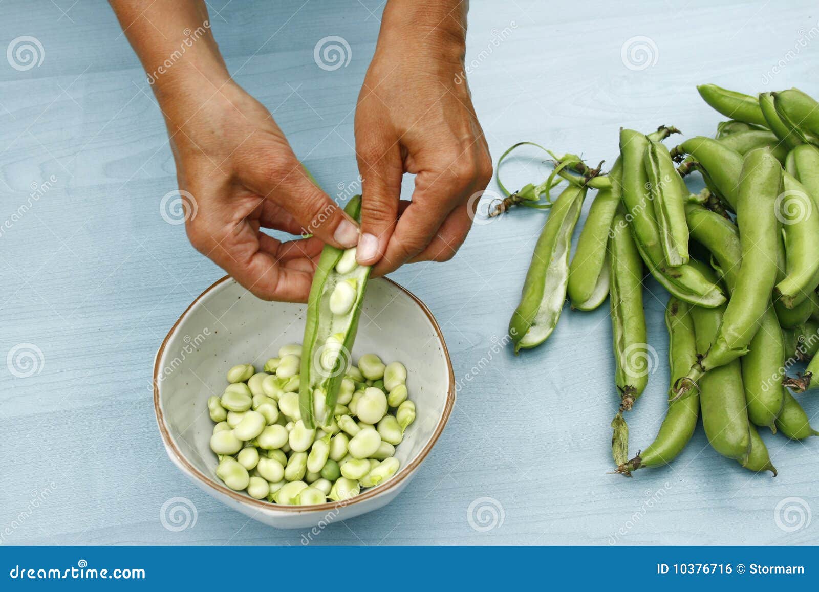Field beans stock photo. Image of green, hand, food, kitchen - 10376716