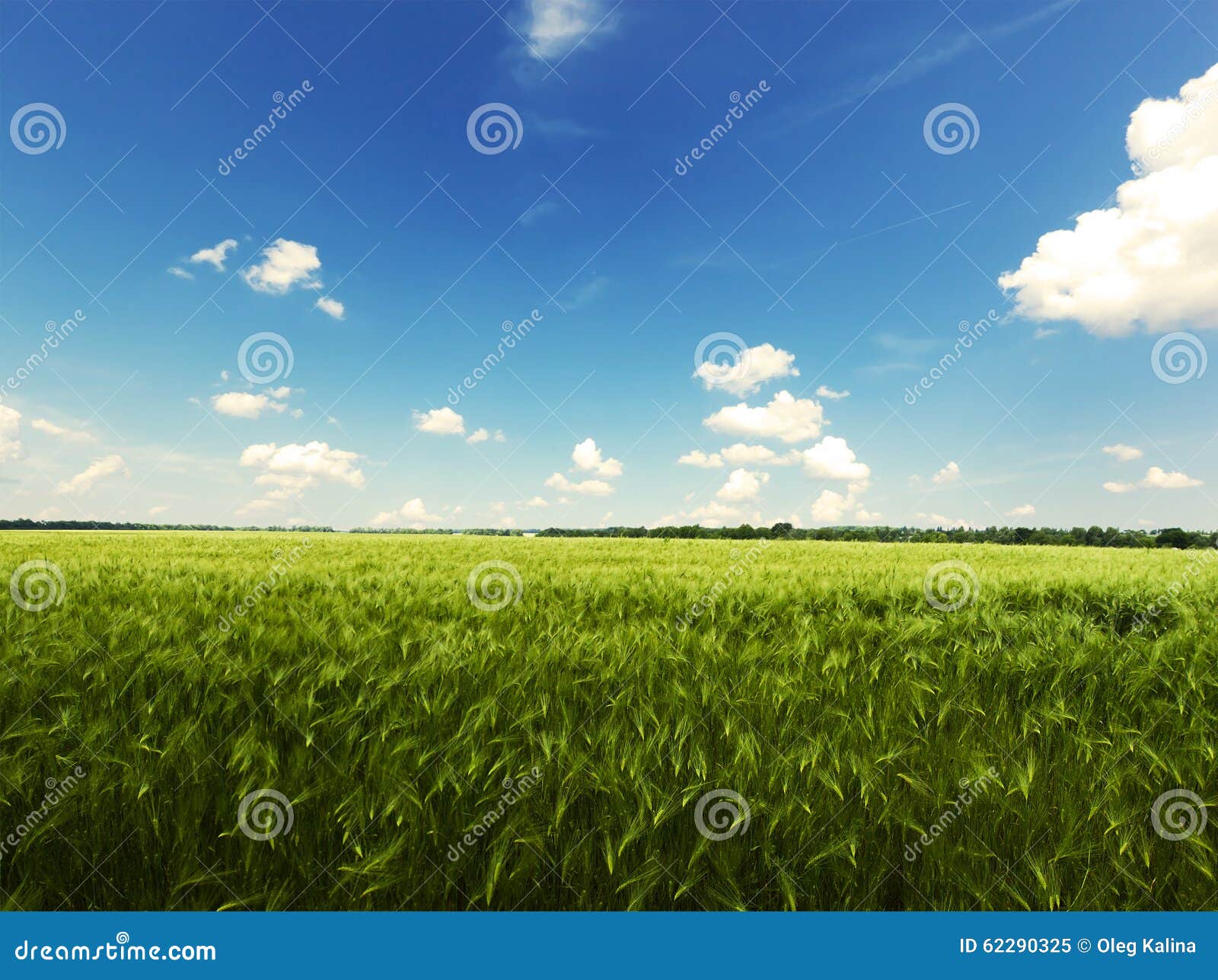 Field stock image. Image of horizontal, heat, overcast - 62290325