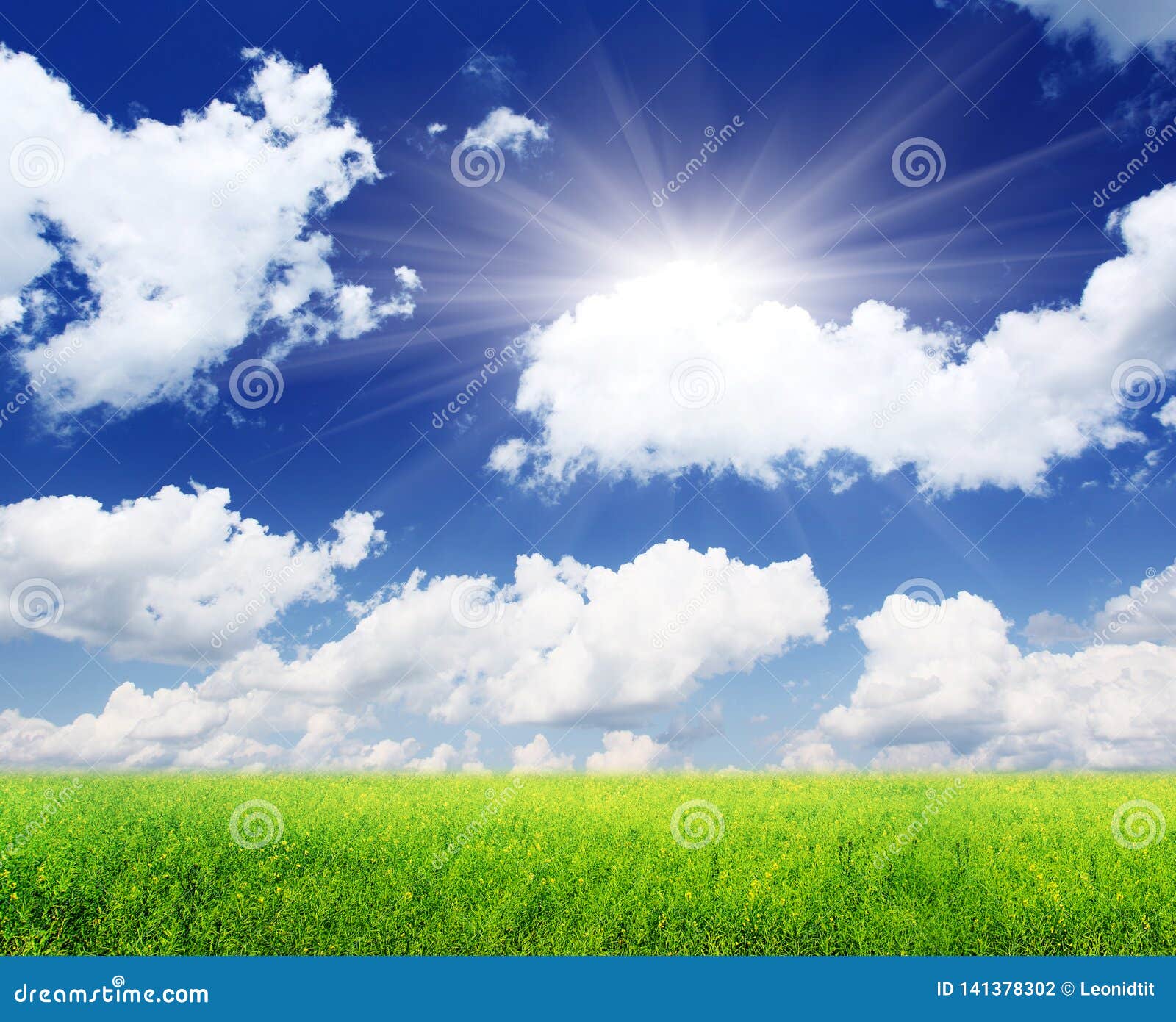 Field stock photo. Image of color, idyllic, countryside - 141378302