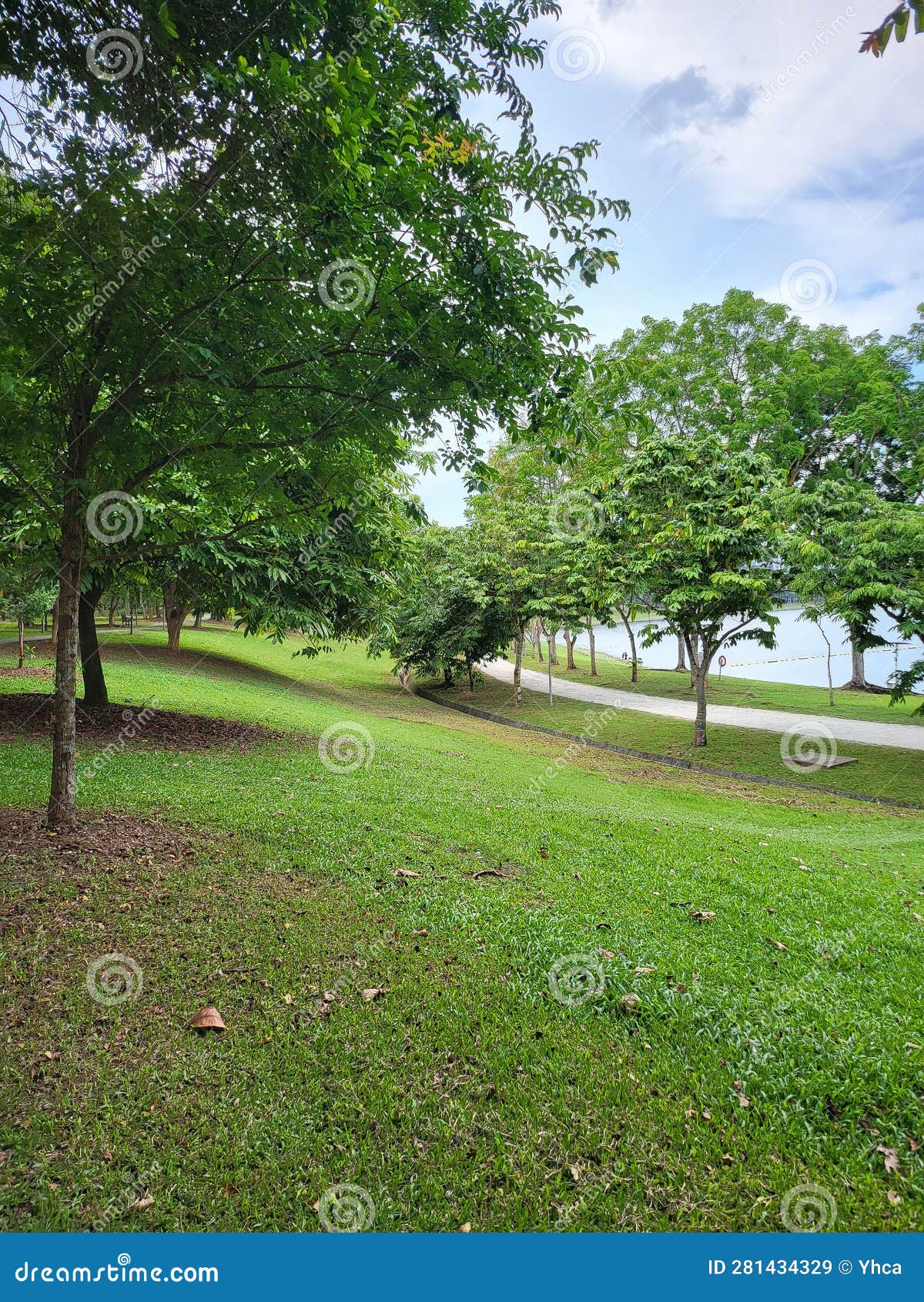 Field in Bedok Reservoir Singapore Stock Image - Image of bedok, field ...