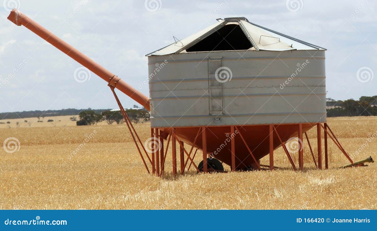 Field bin stock photo. Image of paddock, lupines, farm - 166420