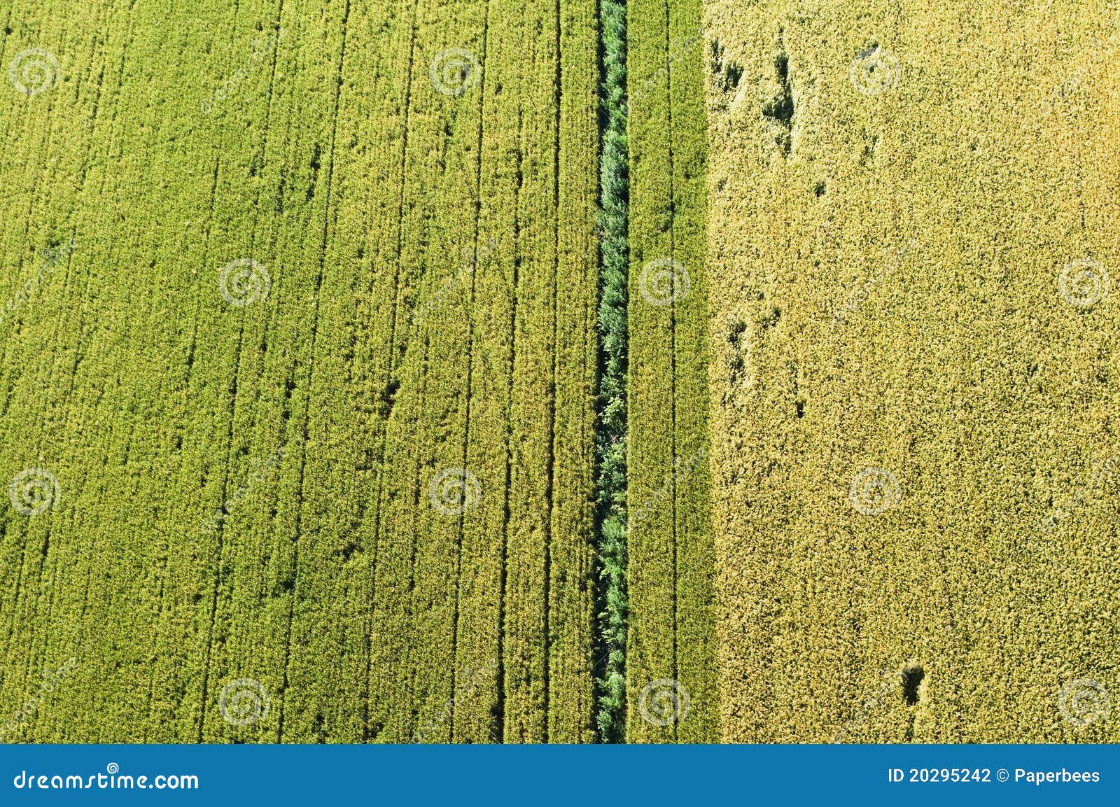 Field, bird eye stock photo. Image of outdoors, suburbs - 20295242