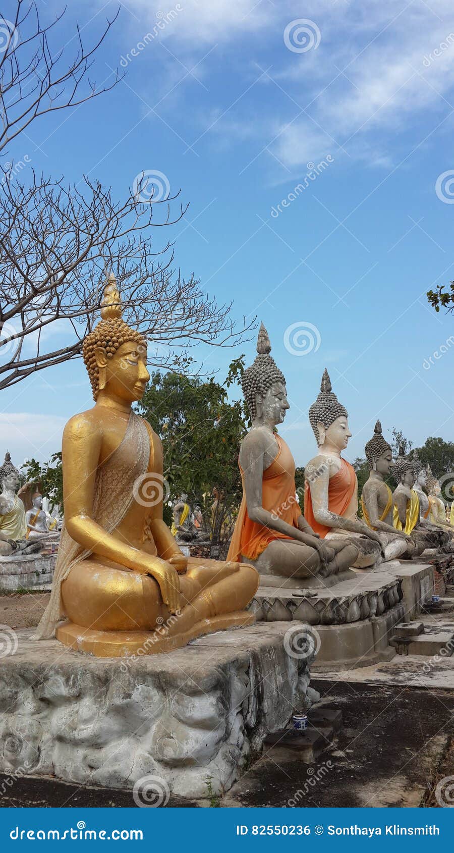 Field of buddha statues stock photo. Image of buddha - 82550236