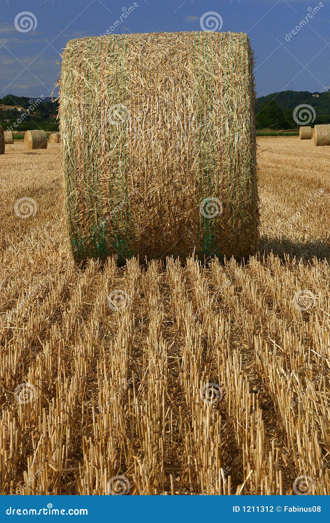 Field Of Bundle Of Straw 2 Stock Photography - Image: 1211312