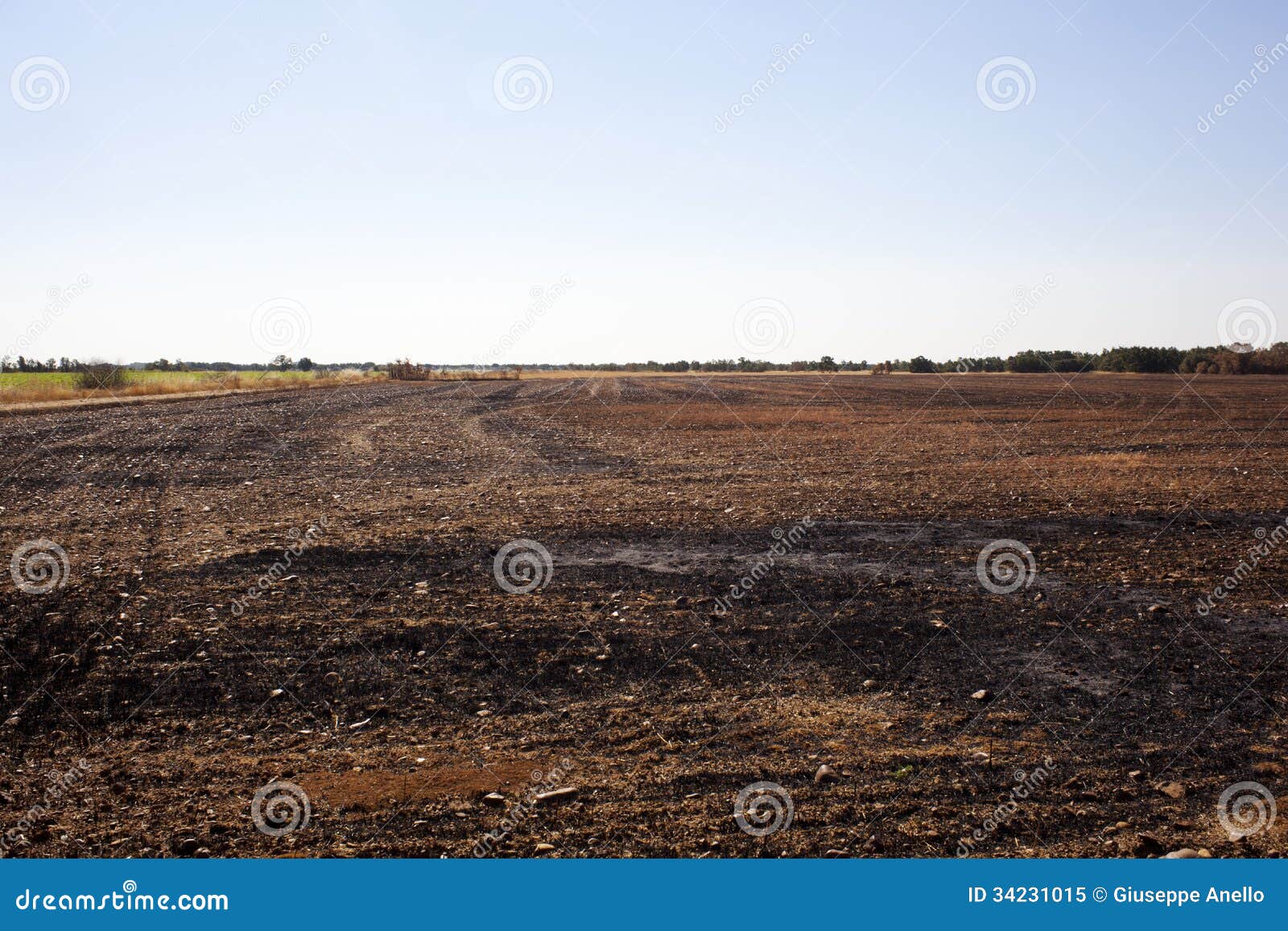 Field burned stock image. Image of heat, inferno, damage - 34231015