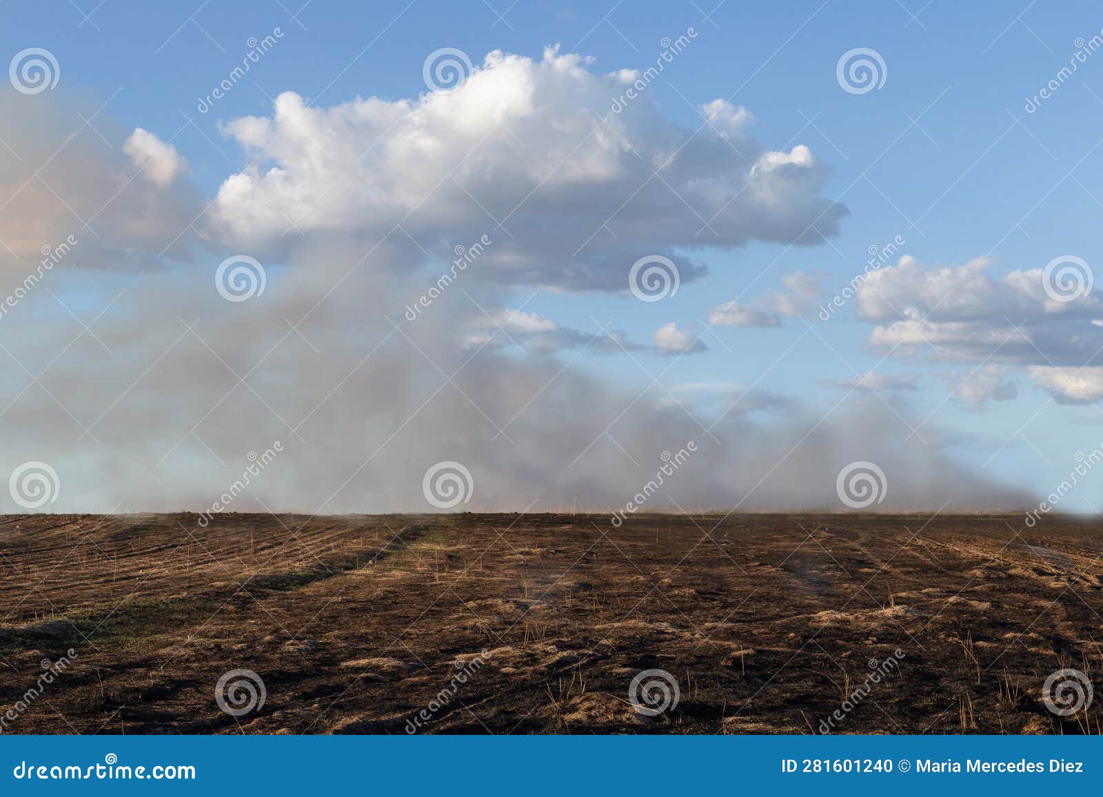A Field Burned after Fire. There is Still Smoke Stock Photo - Image of ...