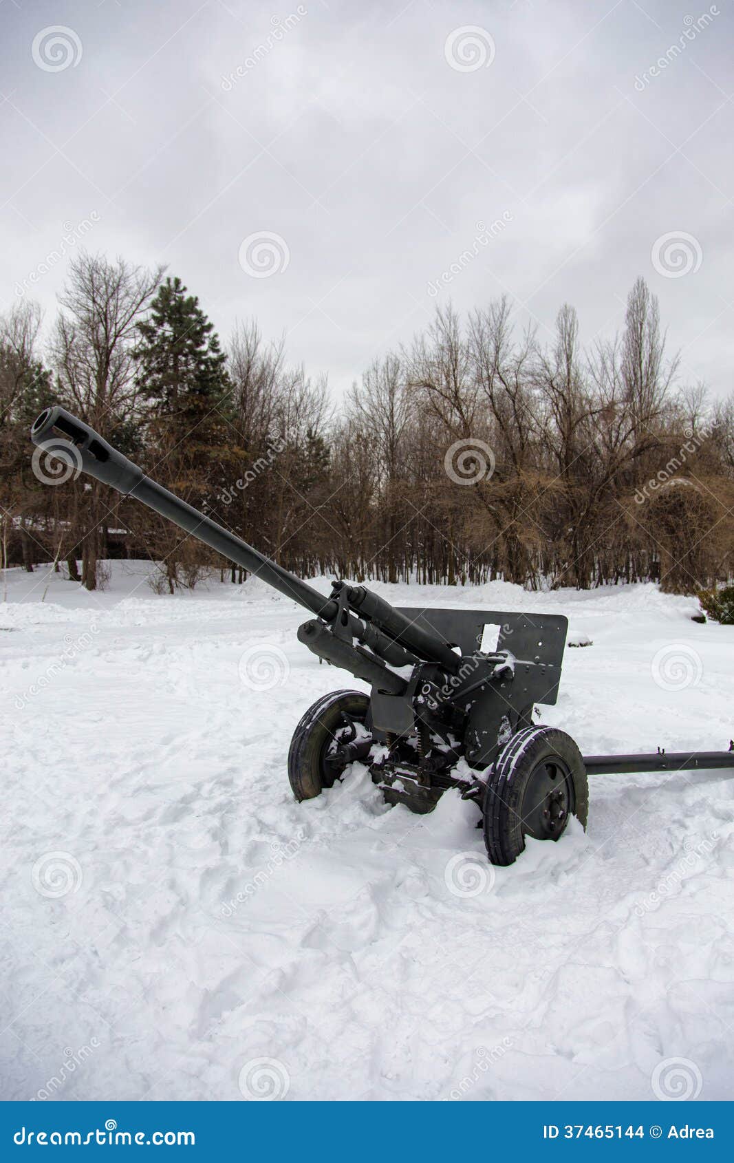 Field Gun Covered with Snow at the Edge of a Forest Stock Photo - Image ...