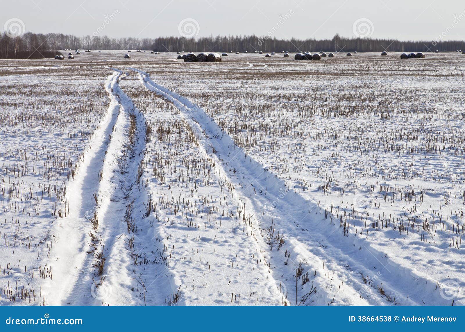 On the field stock photo. Image of stubble, tracks, traces - 38664538