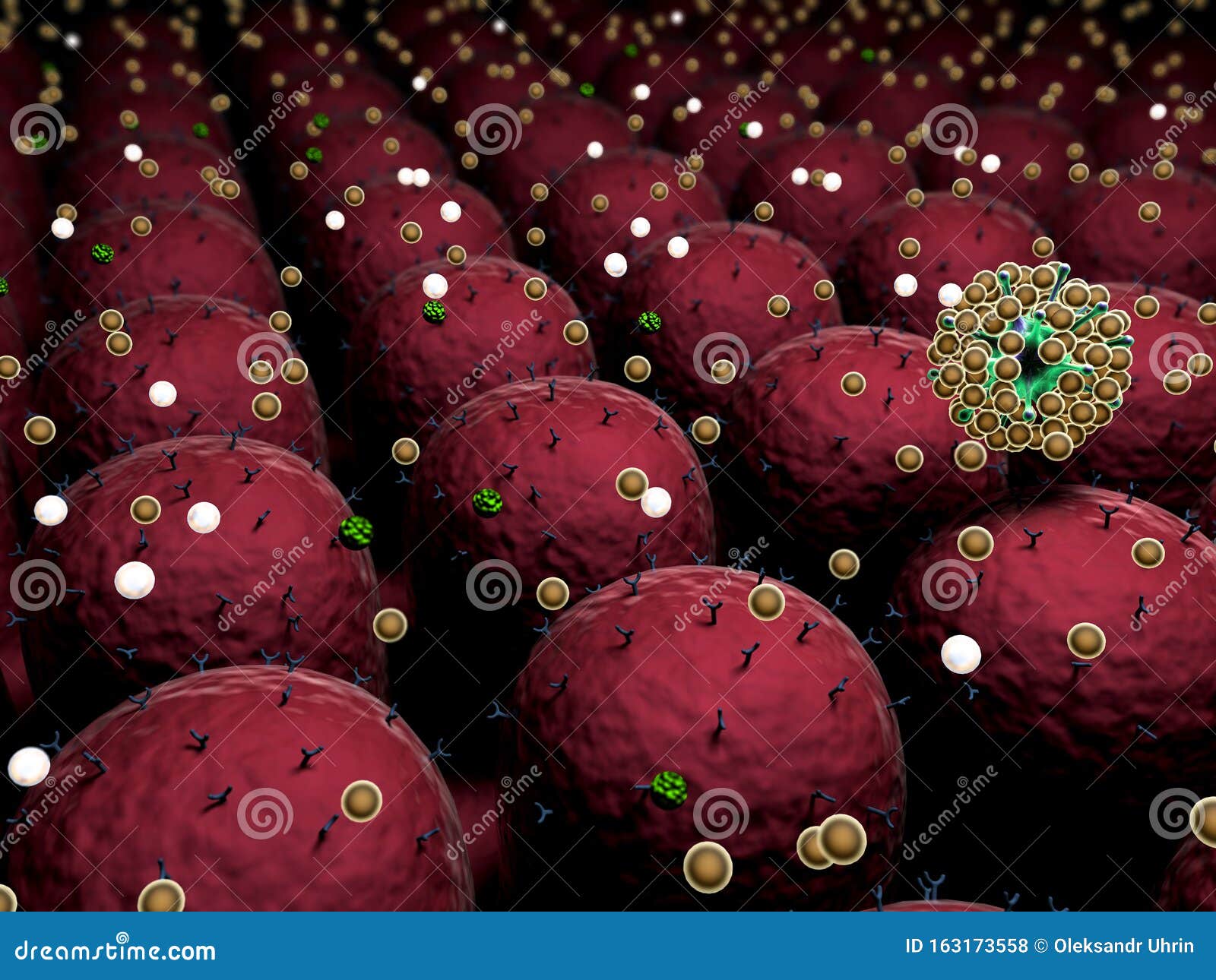 Human Immune System Attack the Virus Stock Illustration - Illustration ...