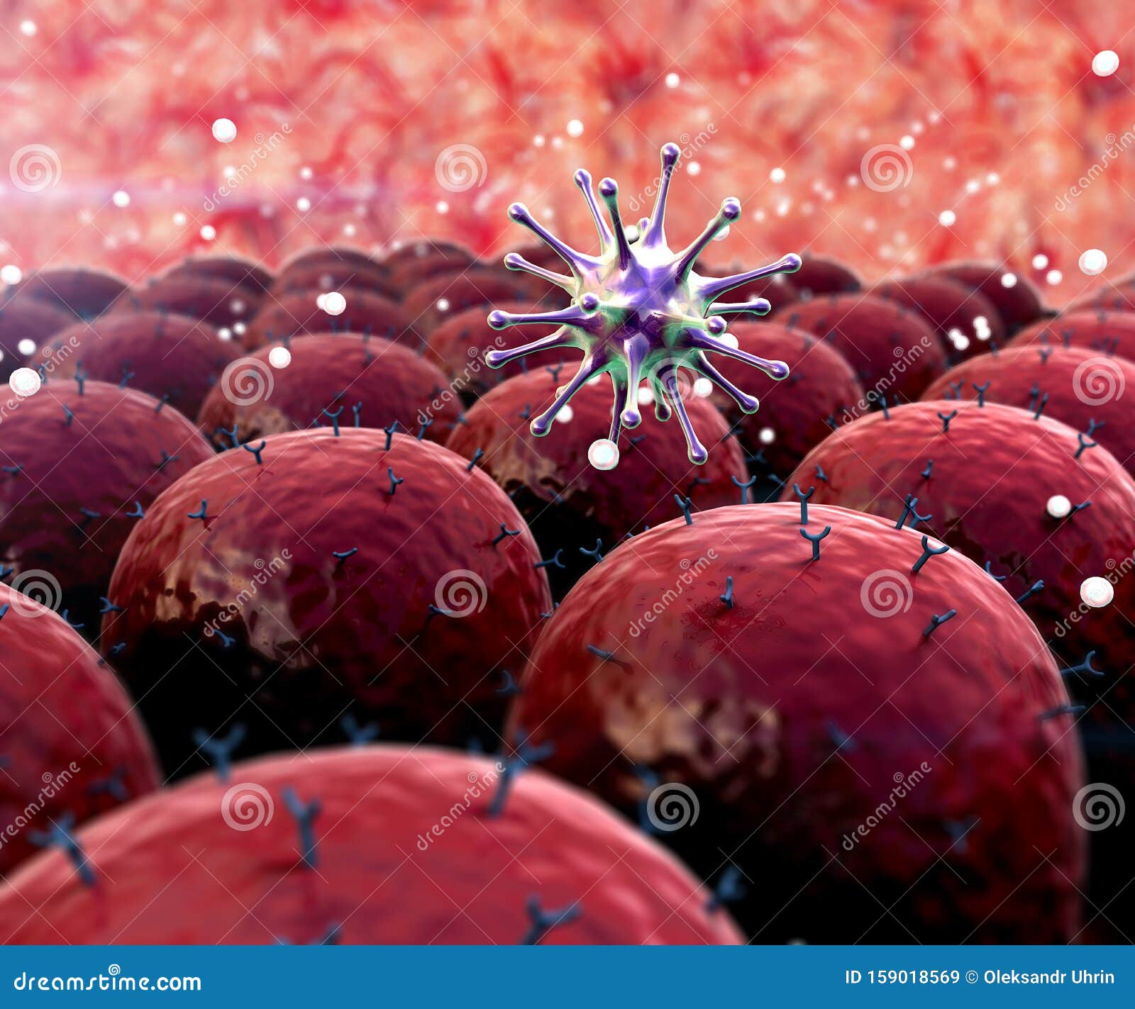Human Immune System Attack the Virus Stock Illustration - Illustration ...
