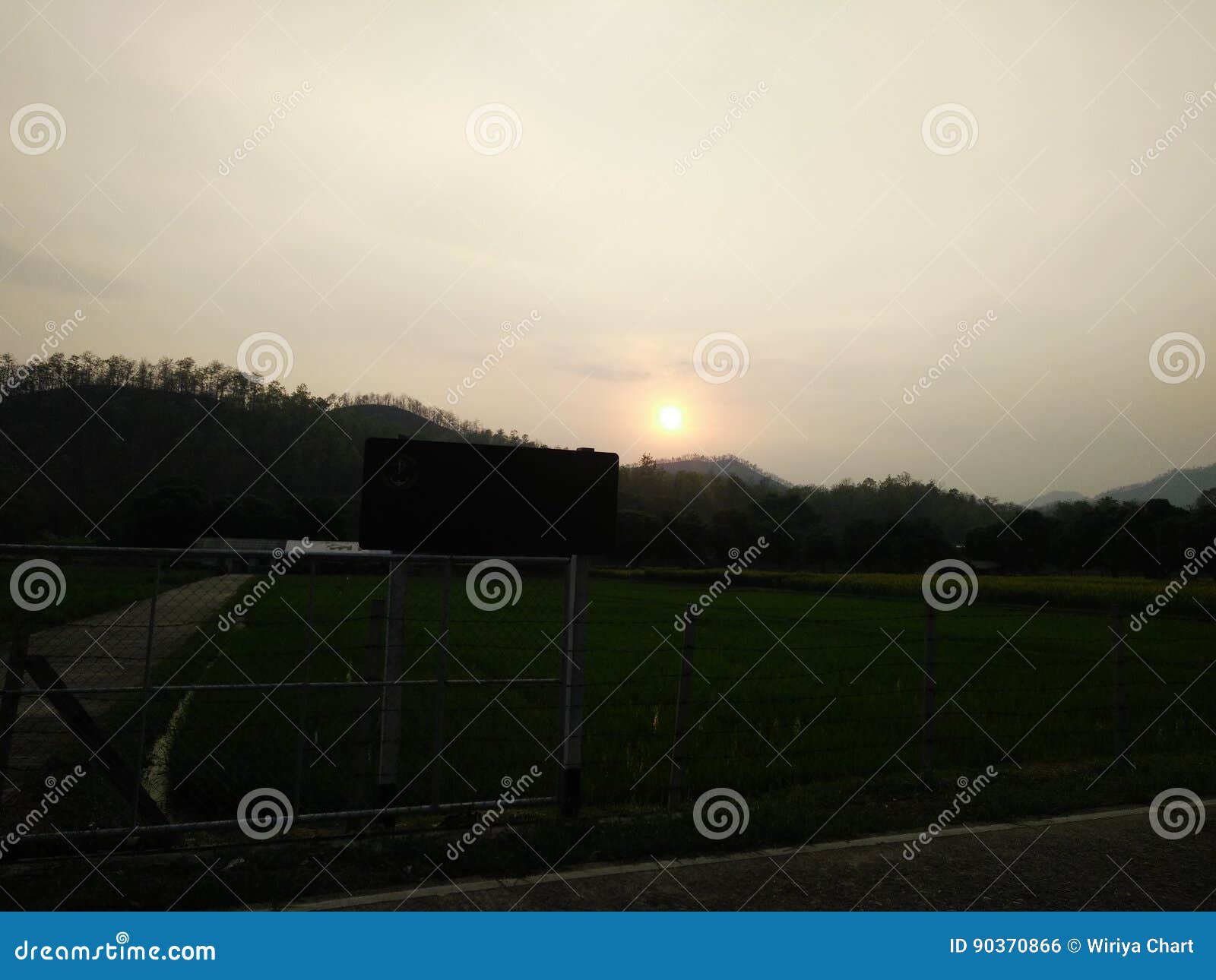 The field is cheerful editorial photo. Image of evening - 90370866