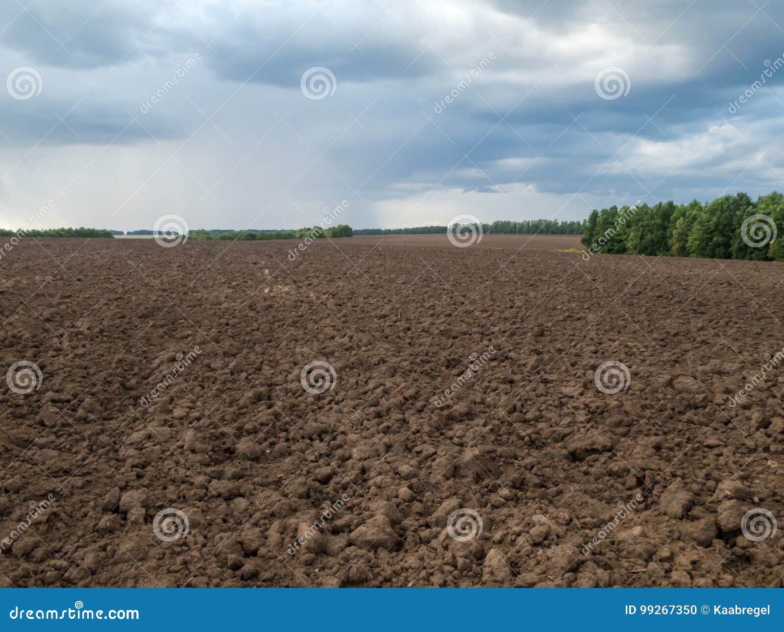 Field with chernozem stock photo. Image of ground, land - 99267350