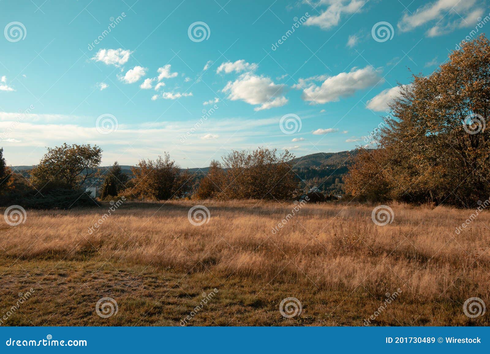 Field in the City of Suhl in Thuringia, Germany Captured during October ...