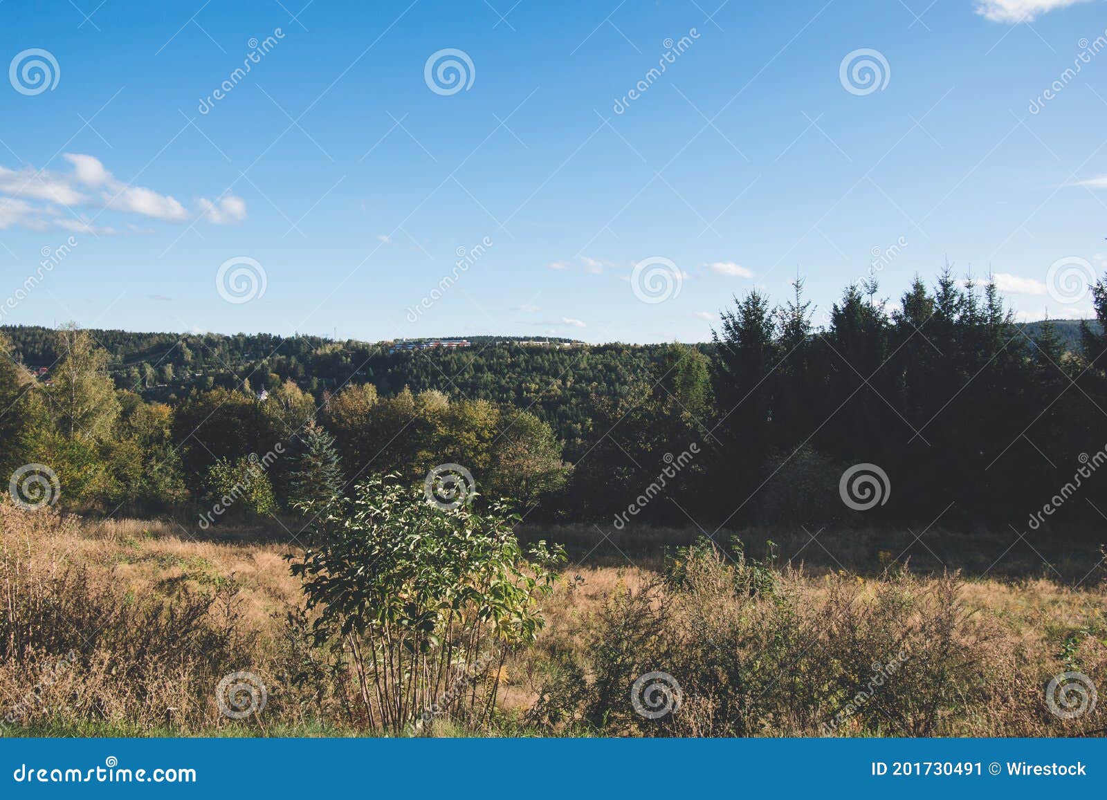 Field in the City of Suhl in Thuringia, Germany Captured during October ...