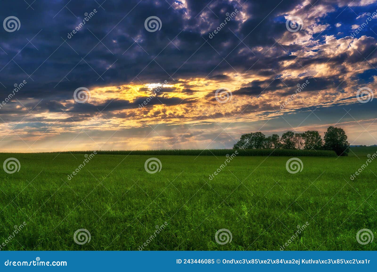 Field Clouds Trees Summer Sunset Sunray Stock Image - Image of cloud ...