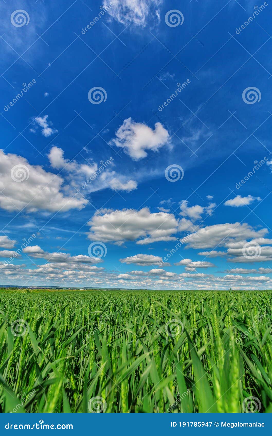 Field and cloudy sky stock image. Image of ground, beauty - 191785947