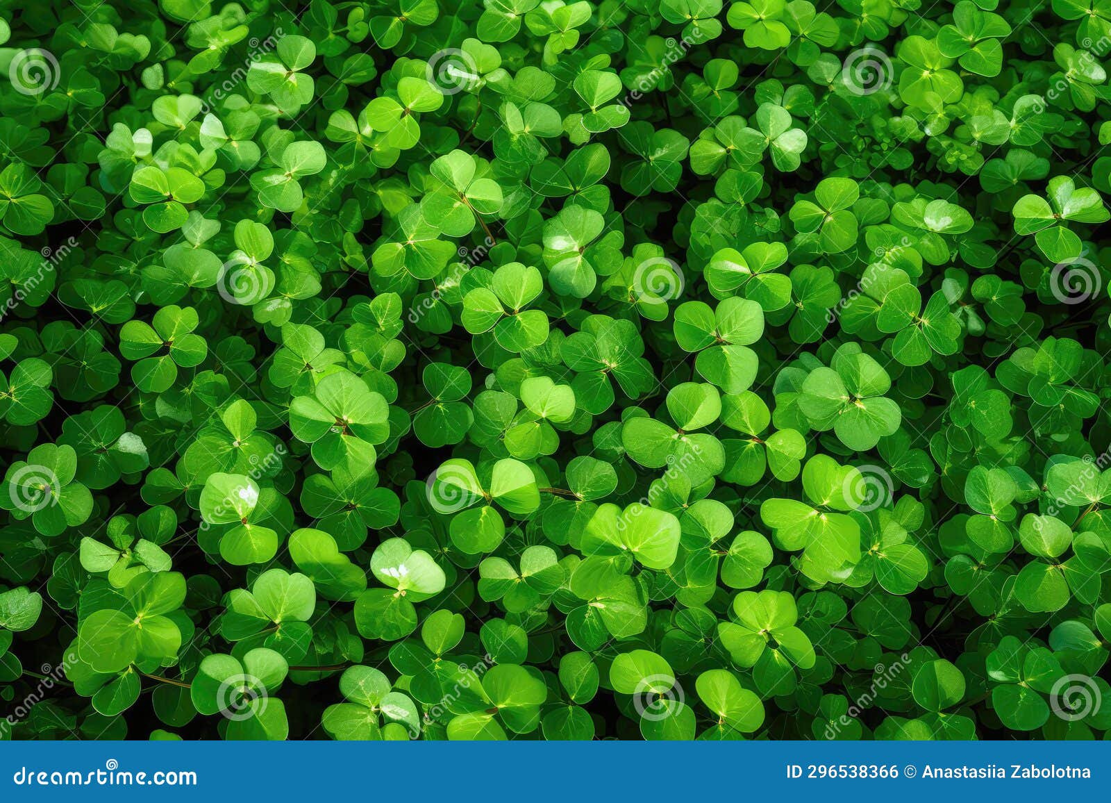 Field of Clover Leaves Background. Generative AI Stock Illustration ...