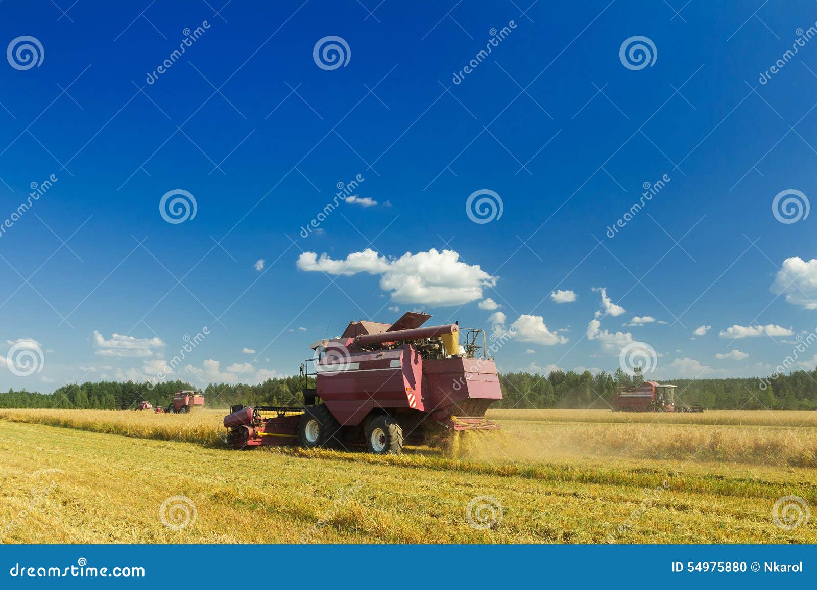 Field Combine Harvester Elevator To Upload Cereal into Tractor Stock ...