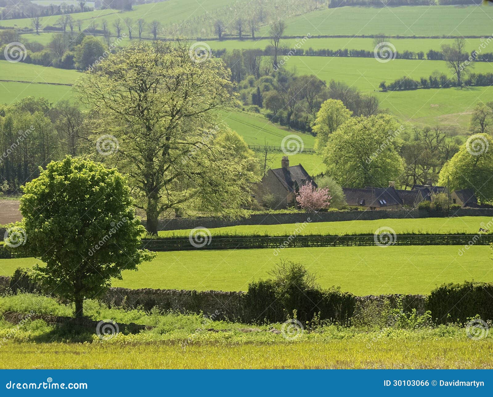 Field stock photo. Image of farmhouse, home, cotswolds - 30103066