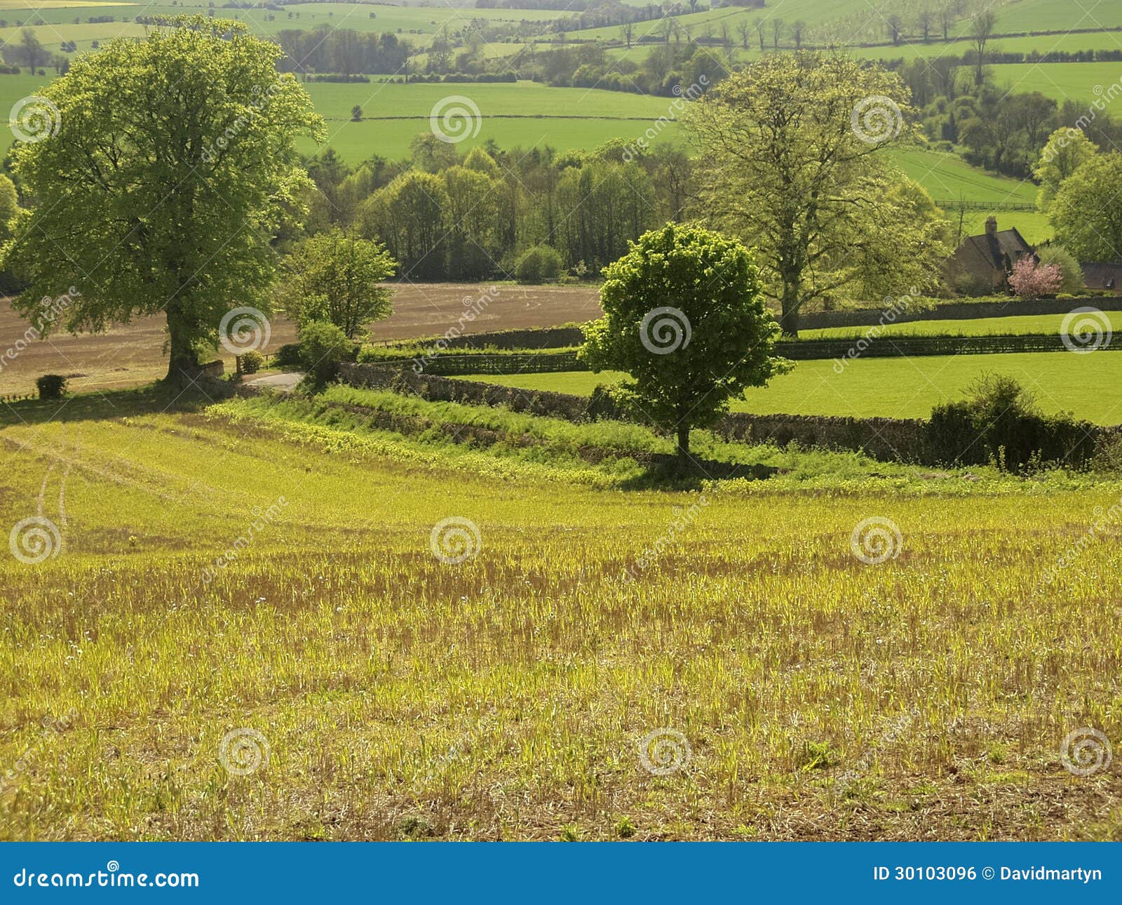 Field stock photo. Image of green, countryside, horizon - 30103096