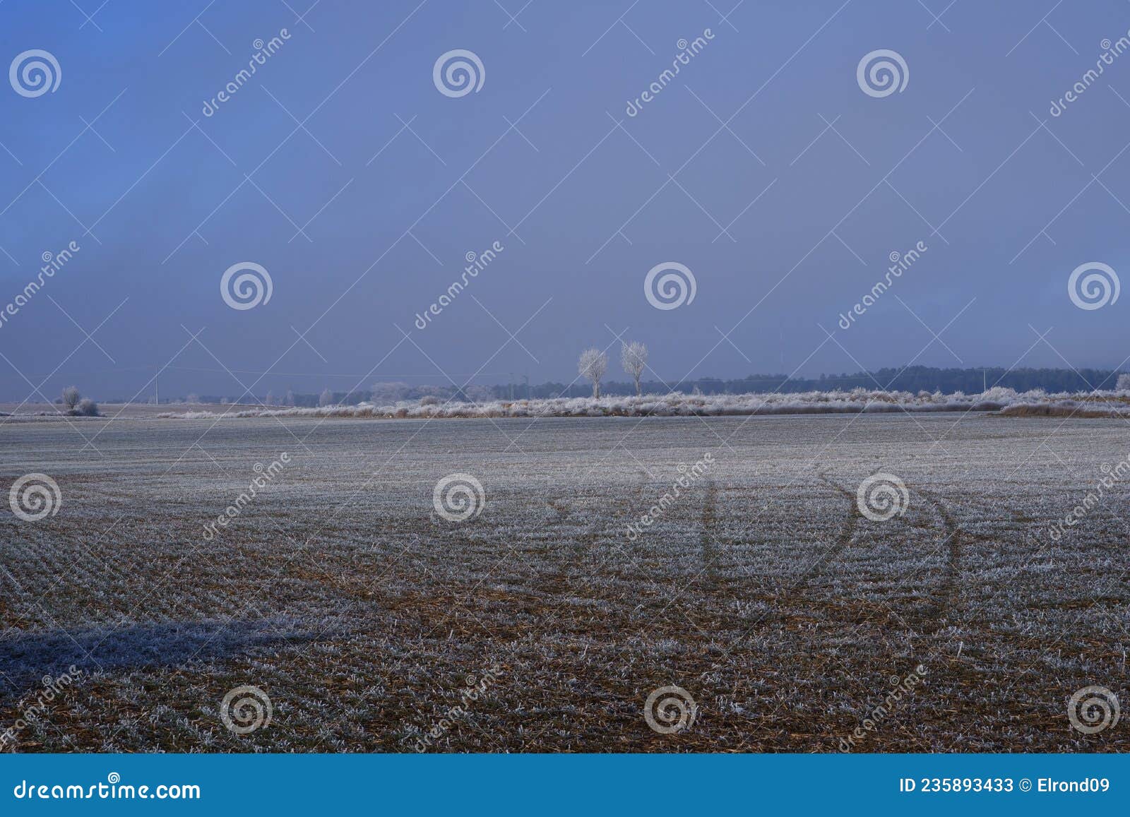 A field cover by snow stock image. Image of nature, winter - 235893433