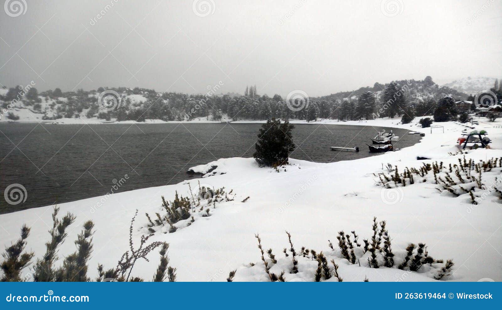 Field Covered with a Snow and Trees with a River in the Background ...