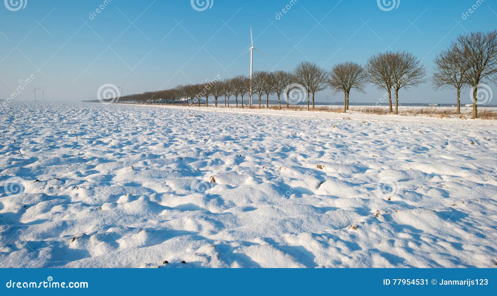 Field covered in snow stock image. Image of landscape - 77954531