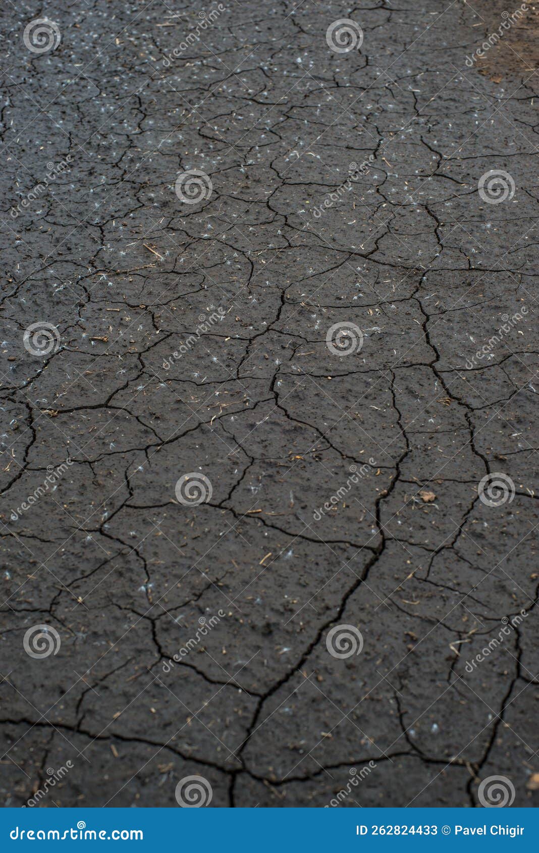 A Field Cracked from a Summer Drought Stock Image - Image of clay ...