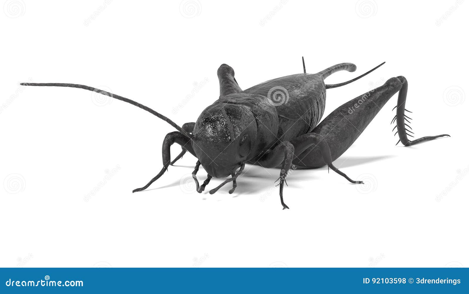 Gryllus Cartoons, Illustrations & Vector Stock Images - 57 Pictures to ...