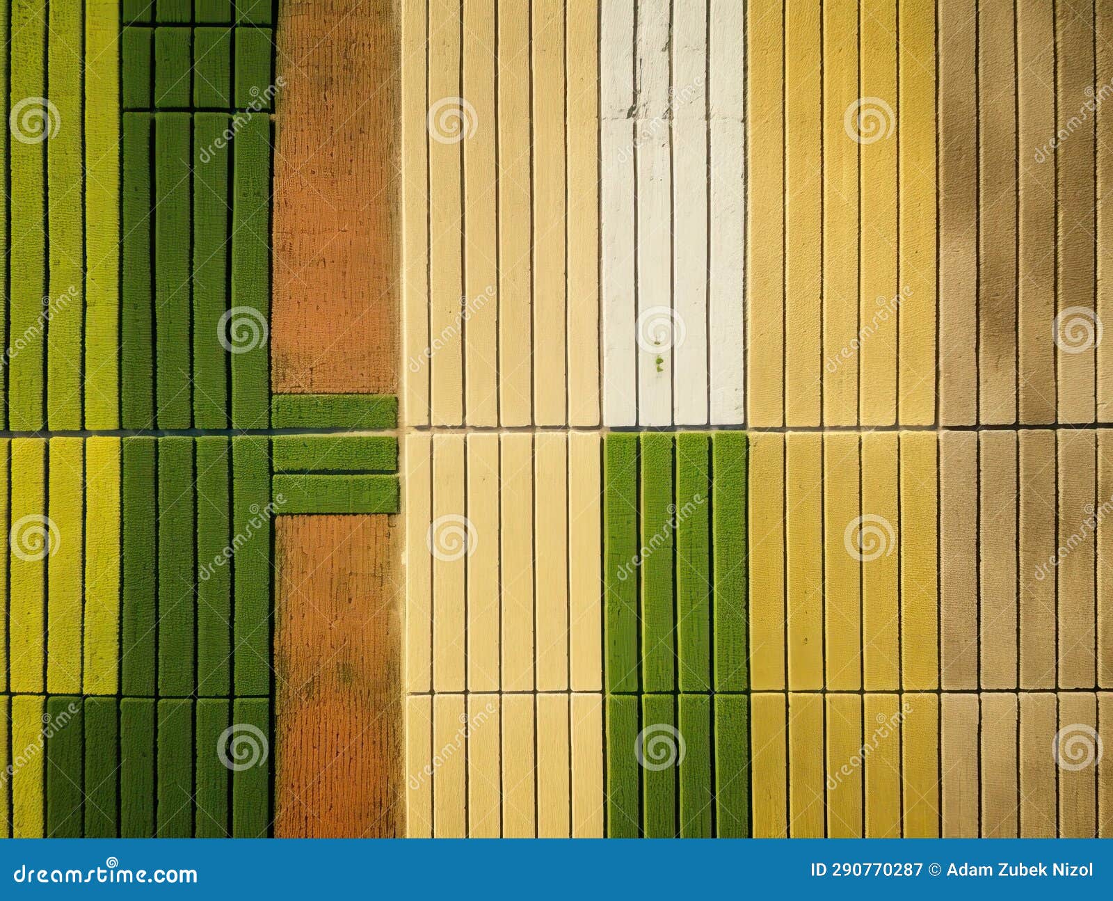 A Field of Crops in Different Colors Stock Illustration - Illustration ...