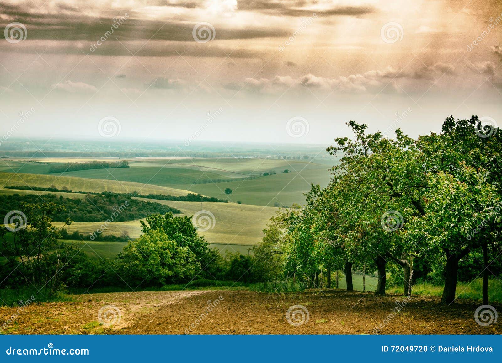 Field in Czech Republic stock photo. Image of super, europe - 72049720
