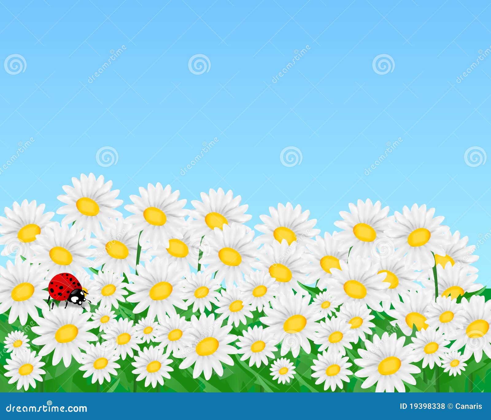 Field with Daisies, Cdr Vector Stock Vector - Illustration of isolated ...
