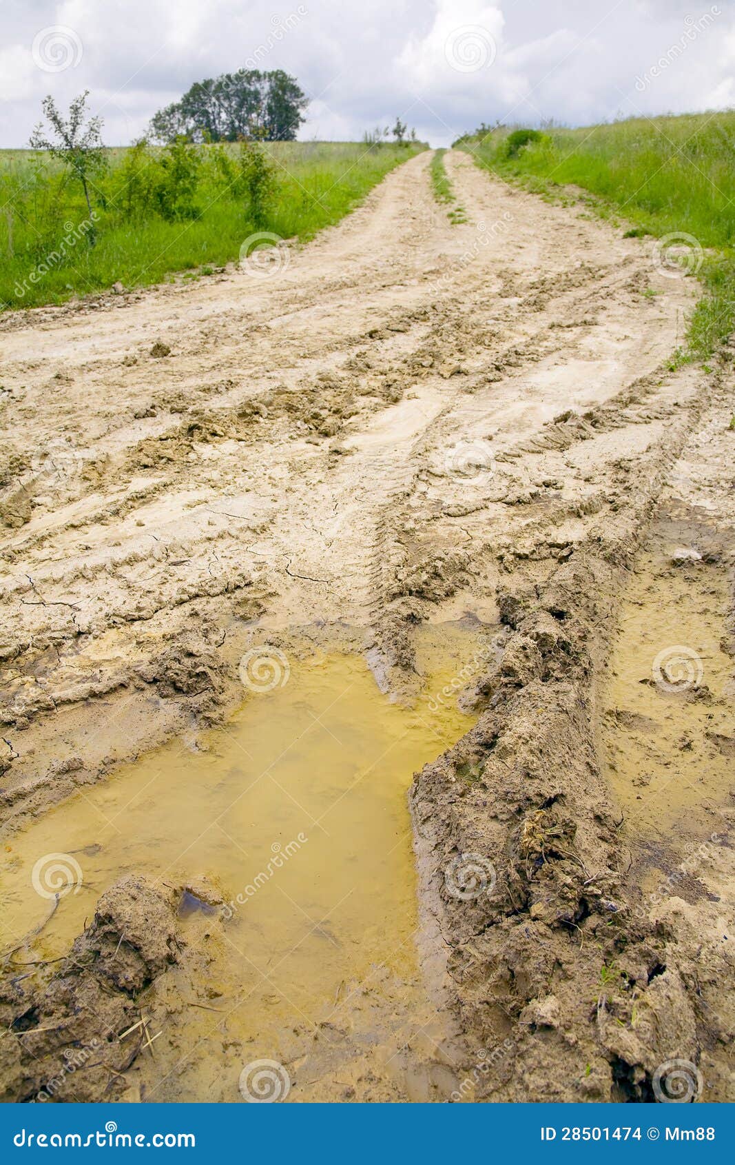Field dirt road stock photo. Image of horizon, road, country - 28501474