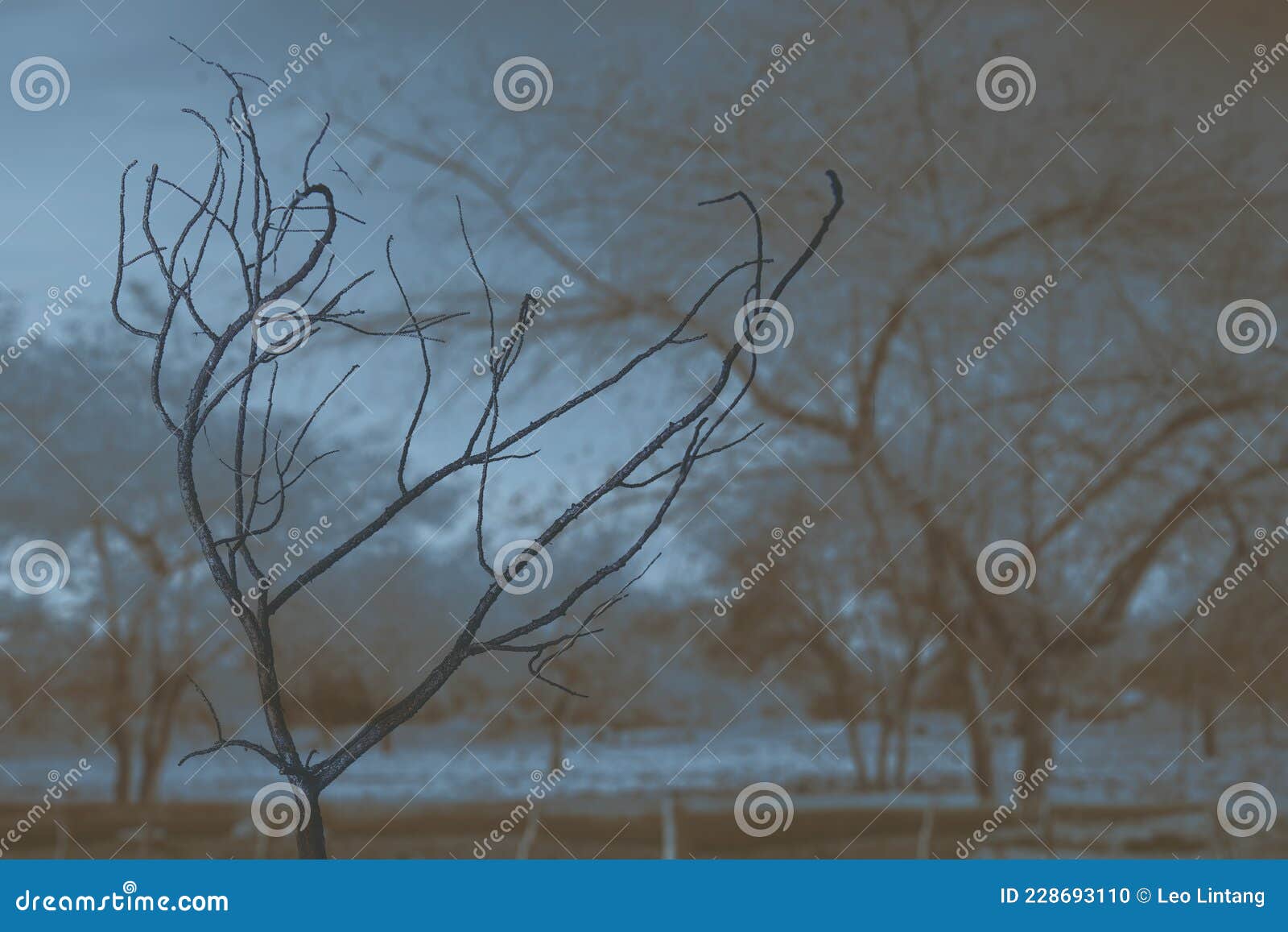 Field stock photo. Image of dark, mysterious, ground - 228693110