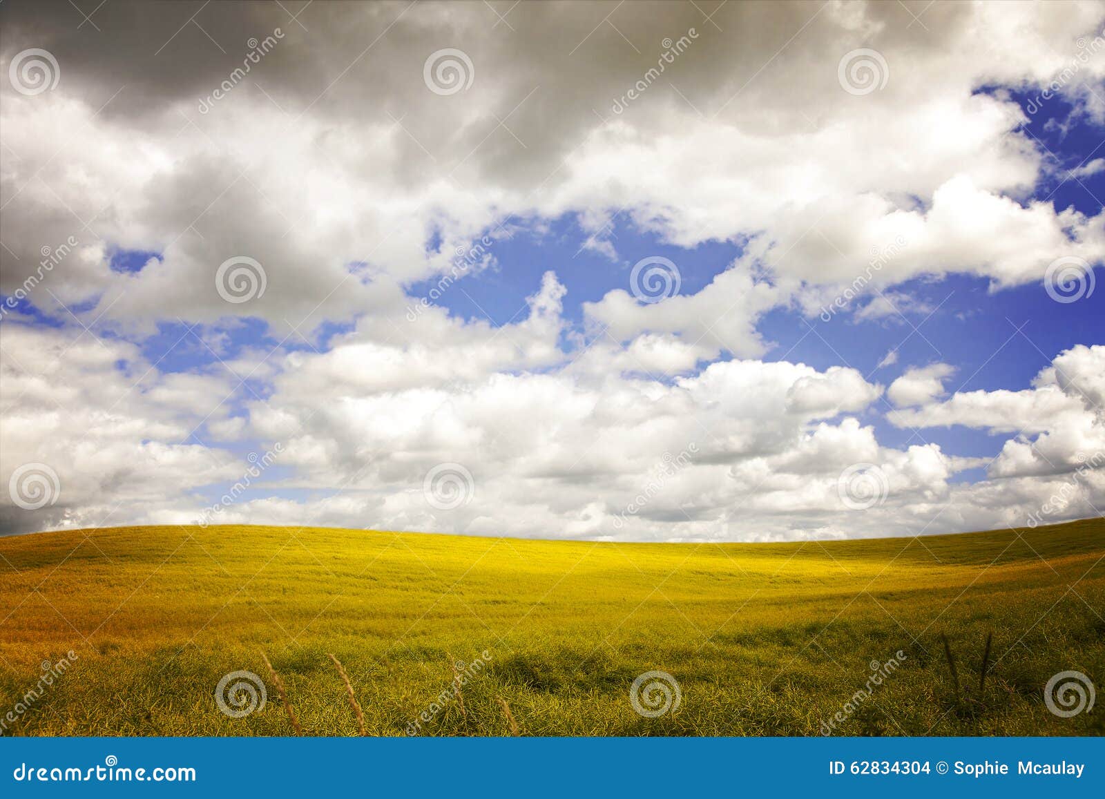 Field with dramatic sky. stock photo. Image of nature - 62834304