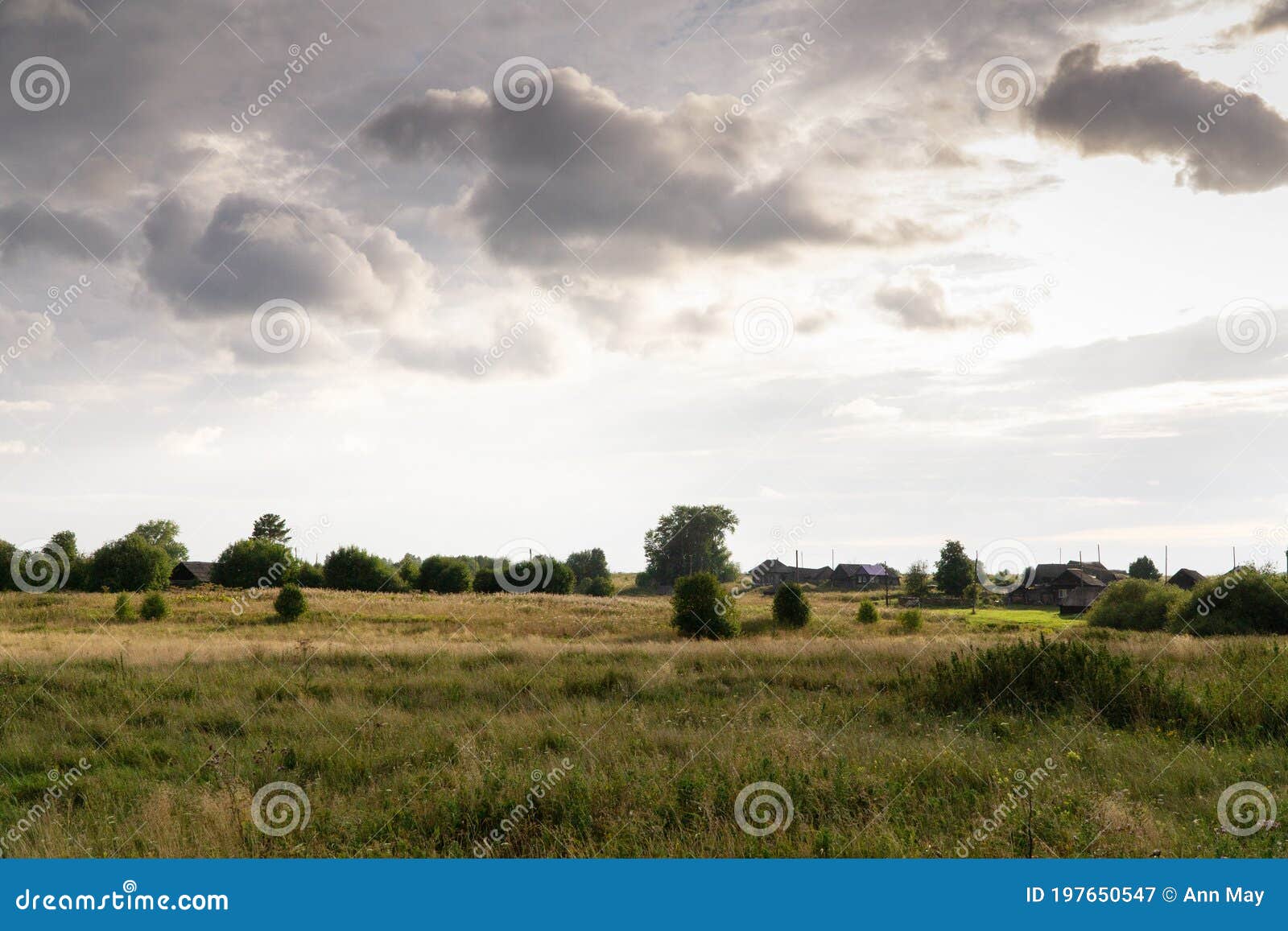 Field and Dramatic Sky in Summer Day Stock Image - Image of natural ...